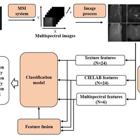 Flow Chart Of Main Steps In Data Acquisition And Analysis Using Download Scientific Diagram