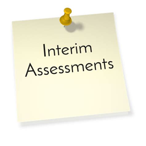 Epicollect5 Interim Assessment