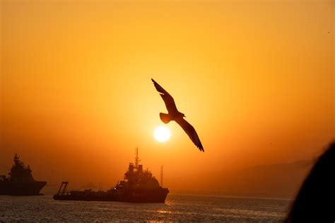 이른 일출 아름 다운 석양 황금빛 태양 아닐 Pixabay의 무료 사진