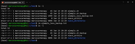 31 Comandos Esenciales De Ubuntu Linux