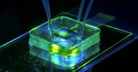 Comprehensive Guide To Common Materials For Microfluidic Device Fabrications Aline