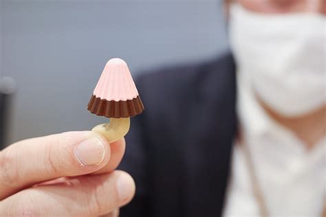 永遠の大問題、“きのこたけのこ対決”に決着はついたのか！？明治に聞いた「きのこの山」「たけのこの里」の秘密 Ufu [ウフ。]