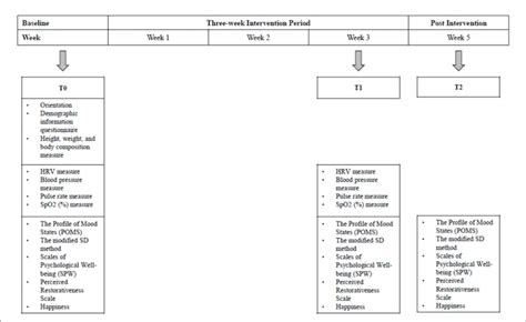 Figure Measurements At Diierent Time Points Download Scientific Diagram