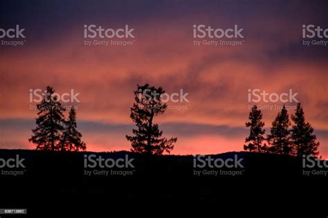 대초원 하늘 나무의 숲 일몰 자연 풍경 구름 경치 아름 다운 곳 빛 여름 황혼 노란색스 칼 렛 컬러 여행 배경 광선 오픈 지평선의 거리의 실루엣 0명에 대한 스톡 사진 및