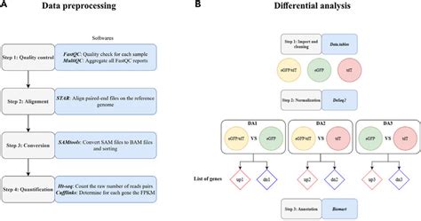 Bioinformatical Overview Of The Project A Flowchart Of Bioinformatic