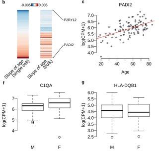 Overview Of Bulk And Single Cell RNA Seq Data A UMAP Of Bulk RNA Seq Download Scientific