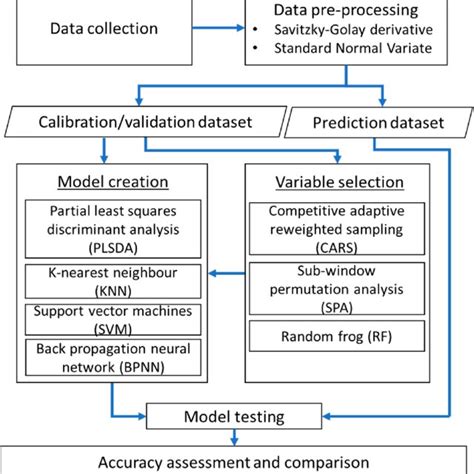 Flowchart Of Key Steps For Testing Spectral Discrimination Modelling Download Scientific