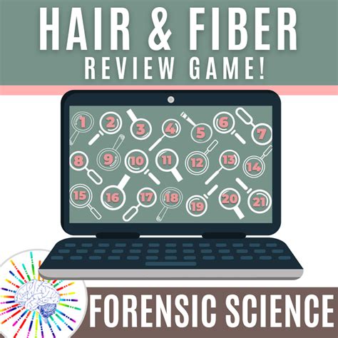 Forensic Hair And Fiber Evidence Review Game