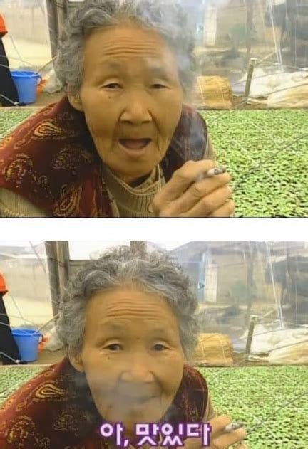 아 맛있다 숲 Soop 에펨코리아