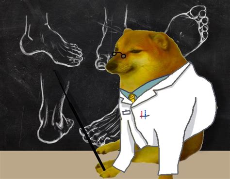 Professor Cheems Cheems Know Your Meme