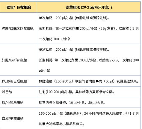 高手秘籍来了！助你轻松搞定巨噬细胞清除！