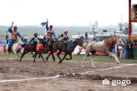 ФОТО Ховд аймгийн Мянгад сумын уяач З Мэндсайханы шарга халзан шүдлэн түрүүллээ