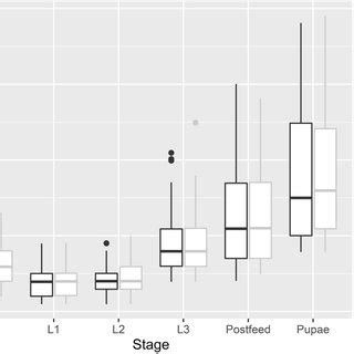 Developmental Length Differences Between Sexes Horizontal Lines Within Download Scientific