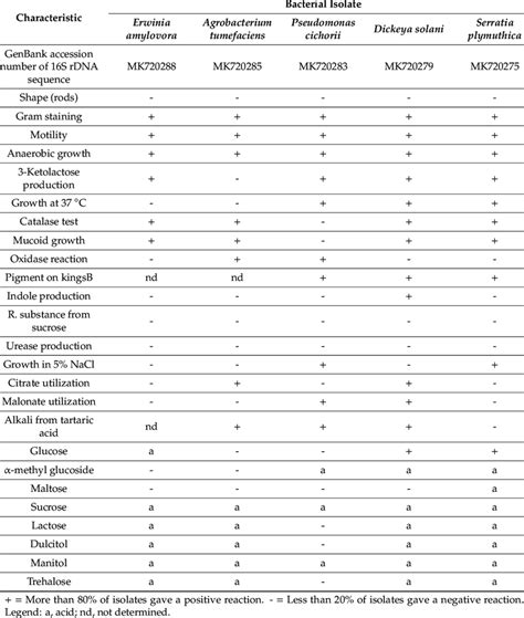 Morphological Traits Physiological Traits Biochemical Reactions And