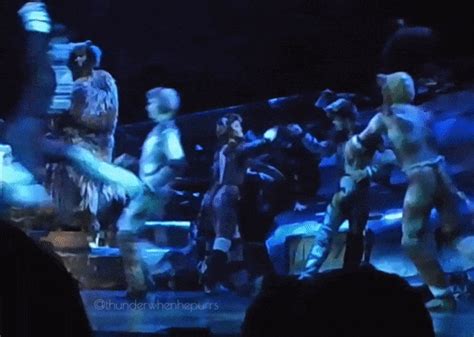 Cats S And Stills — Skimbleshanks In Song Of The Jellicles