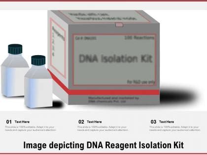 Image Depicting DNA Reagent Isolation Kit PowerPoint Presentation And