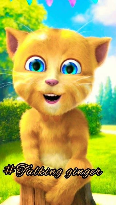 My Talking Ginger The Cutest Talking Ginger You Ever Sawtalkingginger Short Talkingginger2