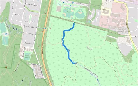 Curl Curl Track Walking And Running Allambie Heights New South Wales Pacer