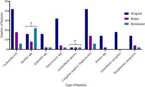 Frequency Of Bacteria Isolated From Different Areas P