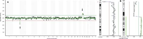 Estimation Of The Detection Limits Of Array Cgh Based Analysis Of