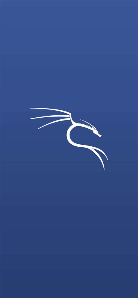 100 Kali Linux Backgrounds