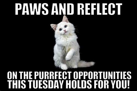 20 Tuesday Work Memes To Get You Through The Grind