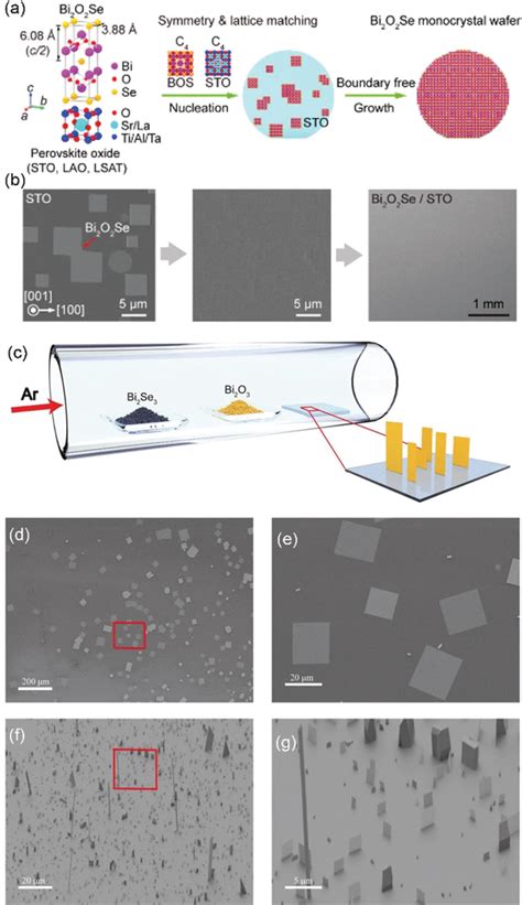 A Schematic Of Epitaxial Growth For Bi2o2se Thin Films On Fourfold Download Scientific Diagram