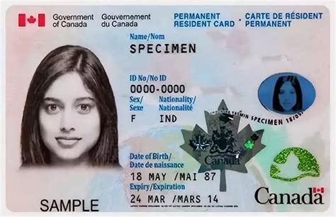 Pr Card Expiry Guide 2024 Renewal Steps And Expert Tips Ctiv