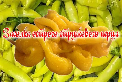 Засолка острого стручкового перца грузинский рецепт Грузинская Кухня от Софии Дзен