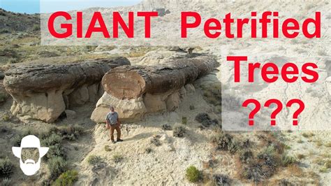 Unravel A Mysterious Outcrop Of Rock With A Geologist Youtube