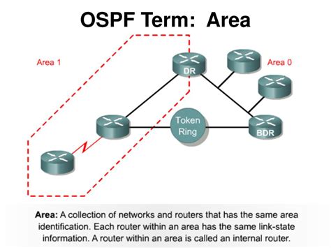 Ppt Ospf Terminology Powerpoint Presentation Free Download Id6678152