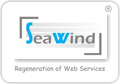 Best Next Gen It Services Seawind Solution Fz Llc Uae Contractors