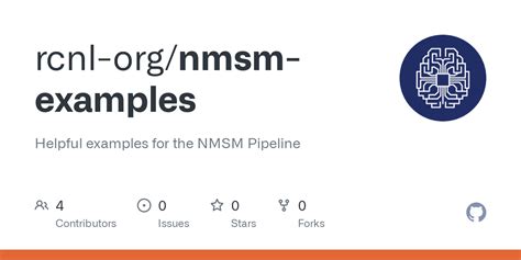 Github Rcnl Org Nmsm Examples Helpful Examples For The Nmsm Pipeline