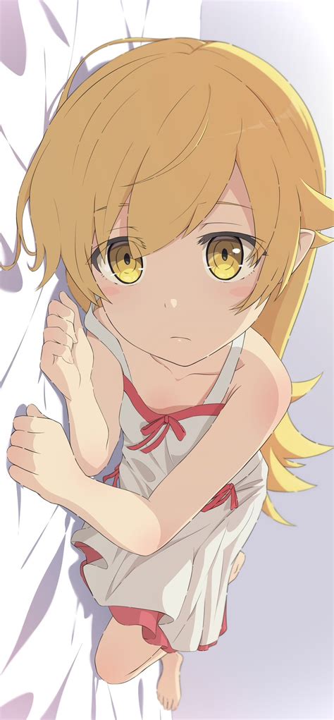 Oshino Shinobu Monogatari Drawn By Camui1104 Danbooru