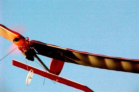 The Pico Stick Lite Stick Series And Derivatives