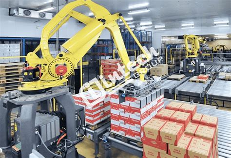 Tùy Chọn Của Hệ Thống Bốc Xếp Hàng Lên Pallet