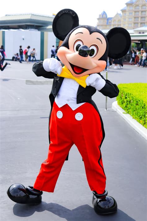 Pin By Debi Klaers On Gotta Love Disney Mickey Mouse Costume Mickey