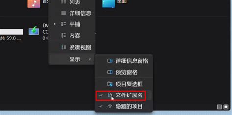 Win11如何设置显示文件扩展名呢 360新知