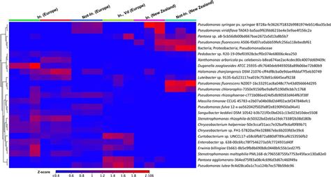 Hierarchical Clustering Of The Abundance Of Bacterial Species In Download Scientific Diagram
