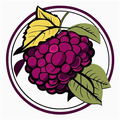 Premium Vector Raspberry Vector Illustration
