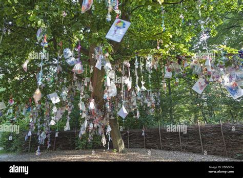 Geography Travel Denmark Copenhagen Binky Tree In Copenhagen Denmark Northern Europe