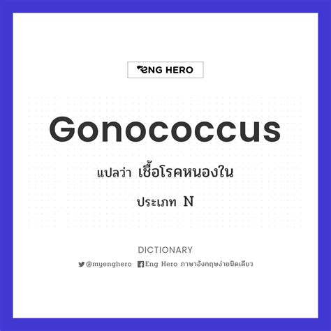 Gonococcus แปลว่า เชื้อโรคหนองใน Eng Hero เรียนภาษาอังกฤษ ออนไลน์ ฟรี