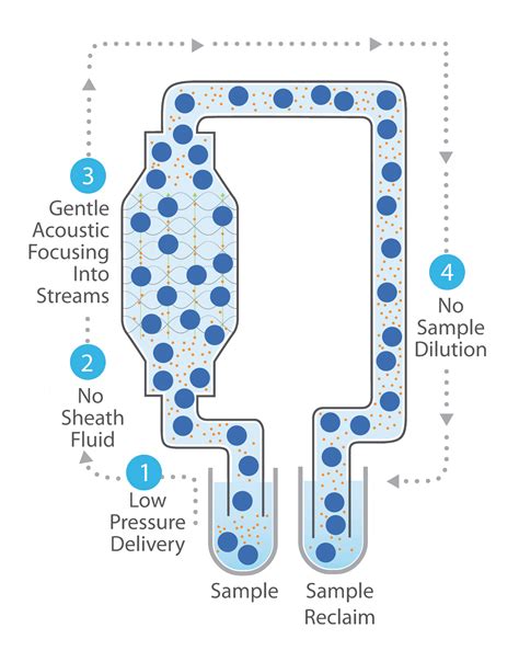 Flow Cellfig2large Flow Cytometry Equipment Bennubio Inc
