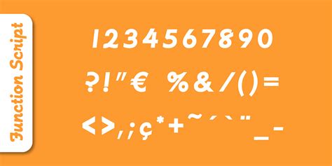 Function Script Pro Font