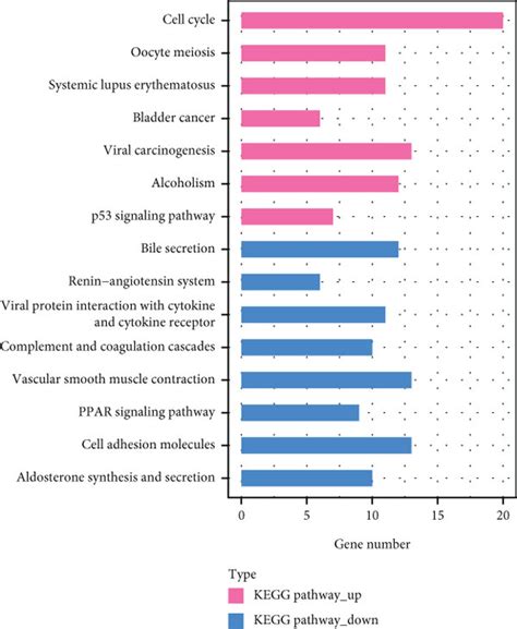 Screening And Enrichment Analysis Of Differentially Expressed Genes