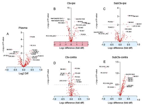 Volcano Plots Of Lipids In The Plasma Ipsi And Contralateral Cortex