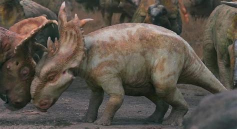 Juniper 14 By Dracotyrannus On Deviantart