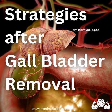Strategies After Gall Bladder Removal 🔵 The Main Function Of The Gall Bladder Is To Store Bile