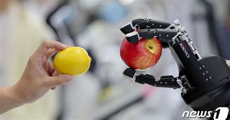 사람 같은 관절 과일 모형 집는 손 로봇