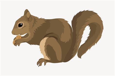 Squirrel With Peanut Images Free Photos Png Stickers Wallpapers